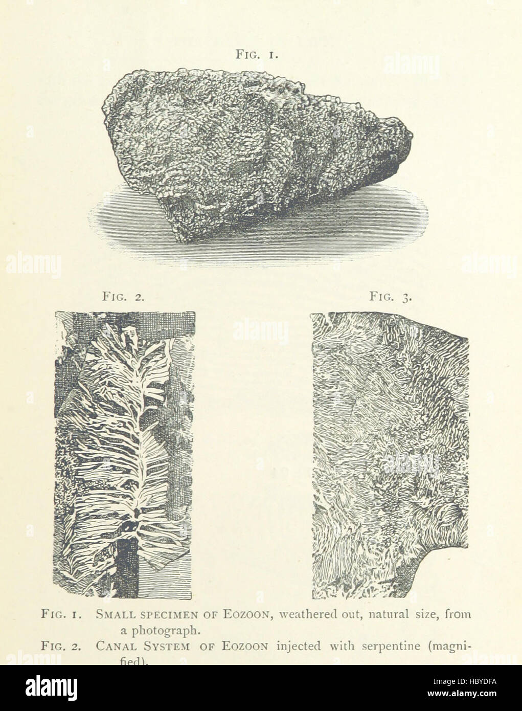 Some Salient Points in the Science of the Earth ... With forty-six ...