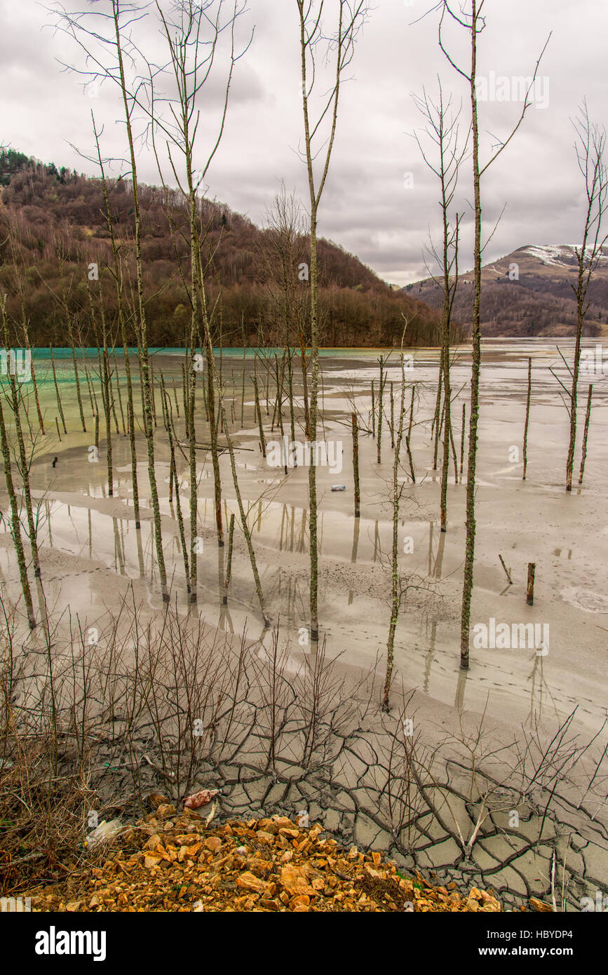 Pollution water lake Stock Photo - Alamy