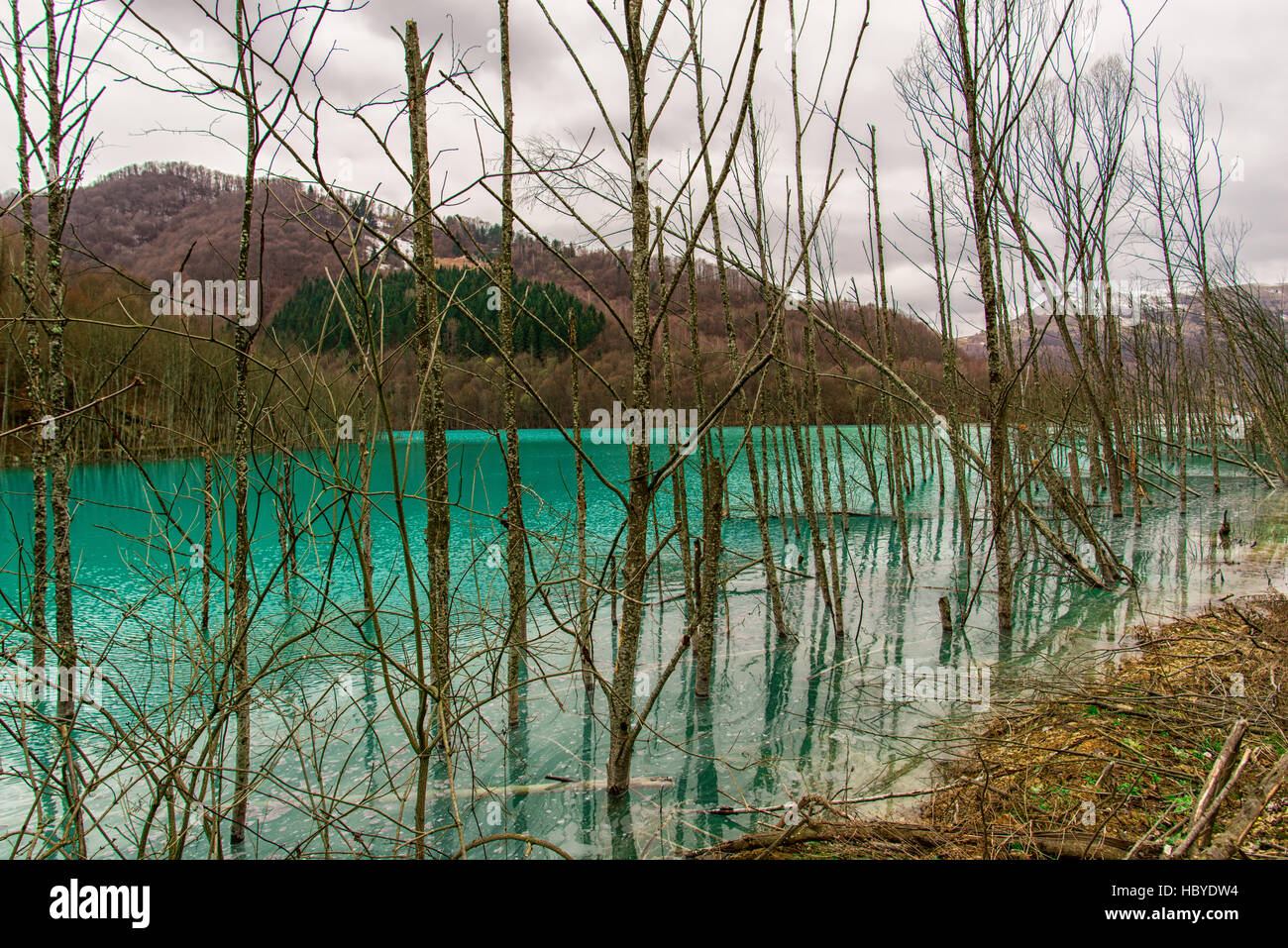 Pollution water lake Stock Photo - Alamy