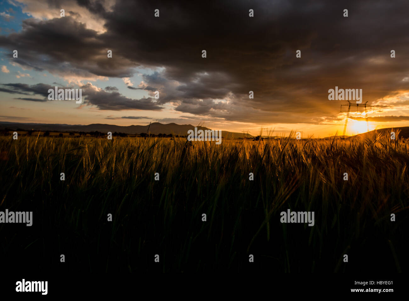 Warm sunlight sunset hi-res stock photography and images - Alamy