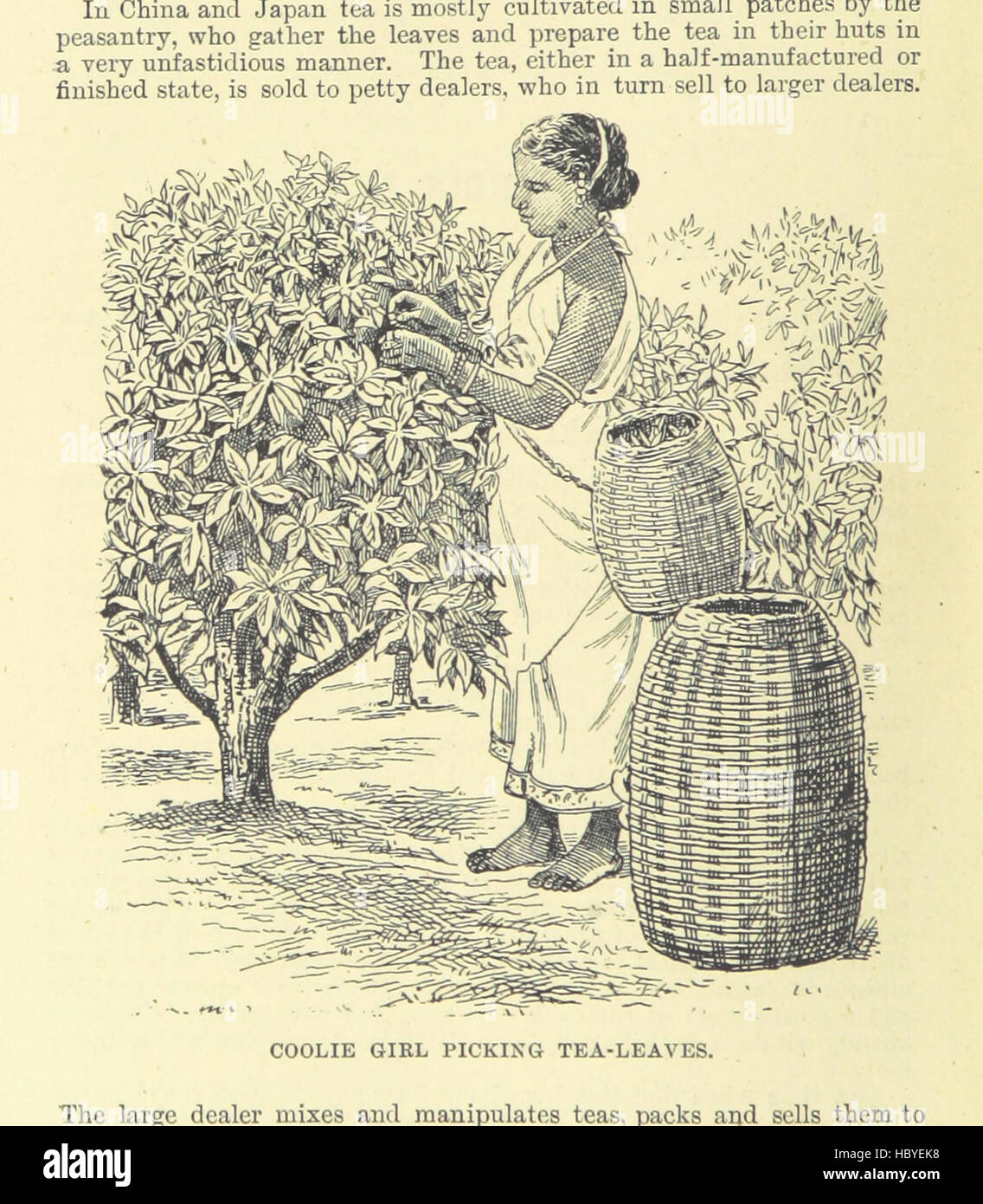 This page from 'Ceylon in 1893' presents the geography, colonial ...