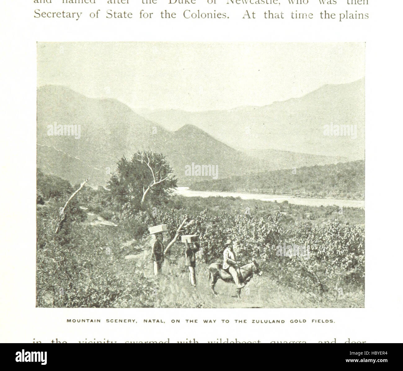 The Colony of Natal. An official illustrated handbook and railway guide ...