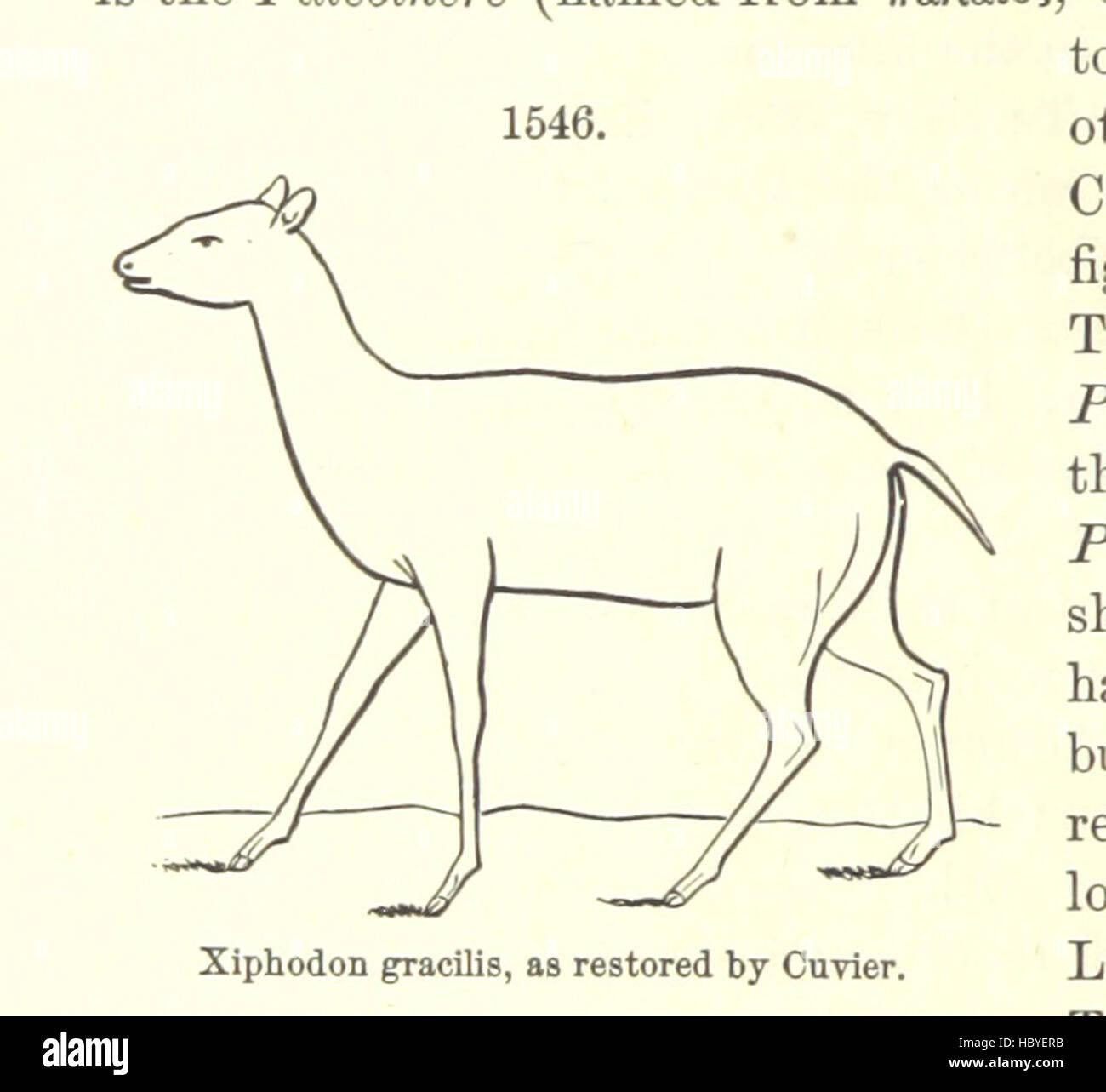 James persian calligraphy hi-res stock photography and images - Alamy