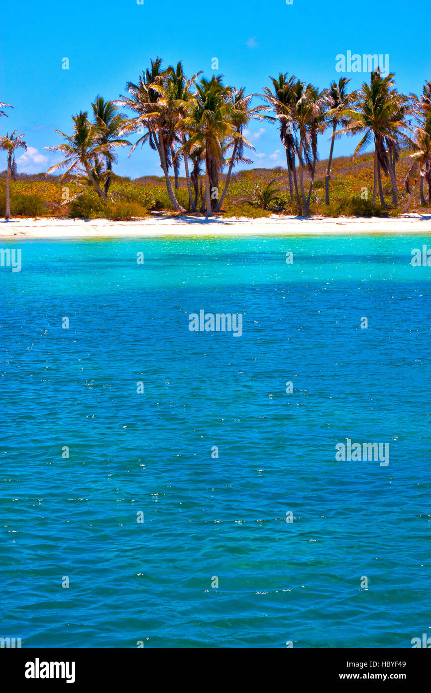 coastline and rock in the blue lagoon relax of isla contoy mexico Stock ...