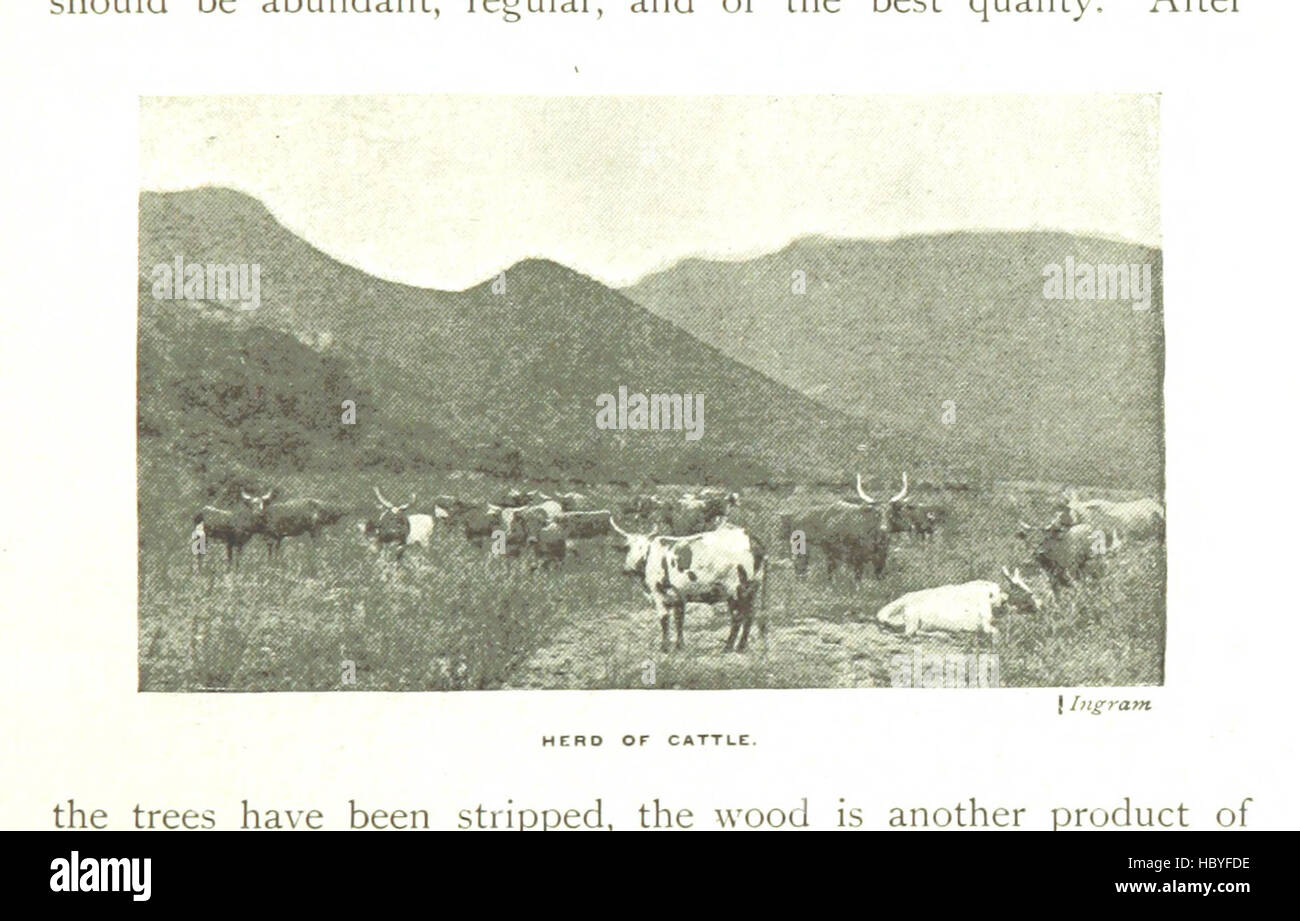 Map of the colony of natal hi-res stock photography and images - Alamy