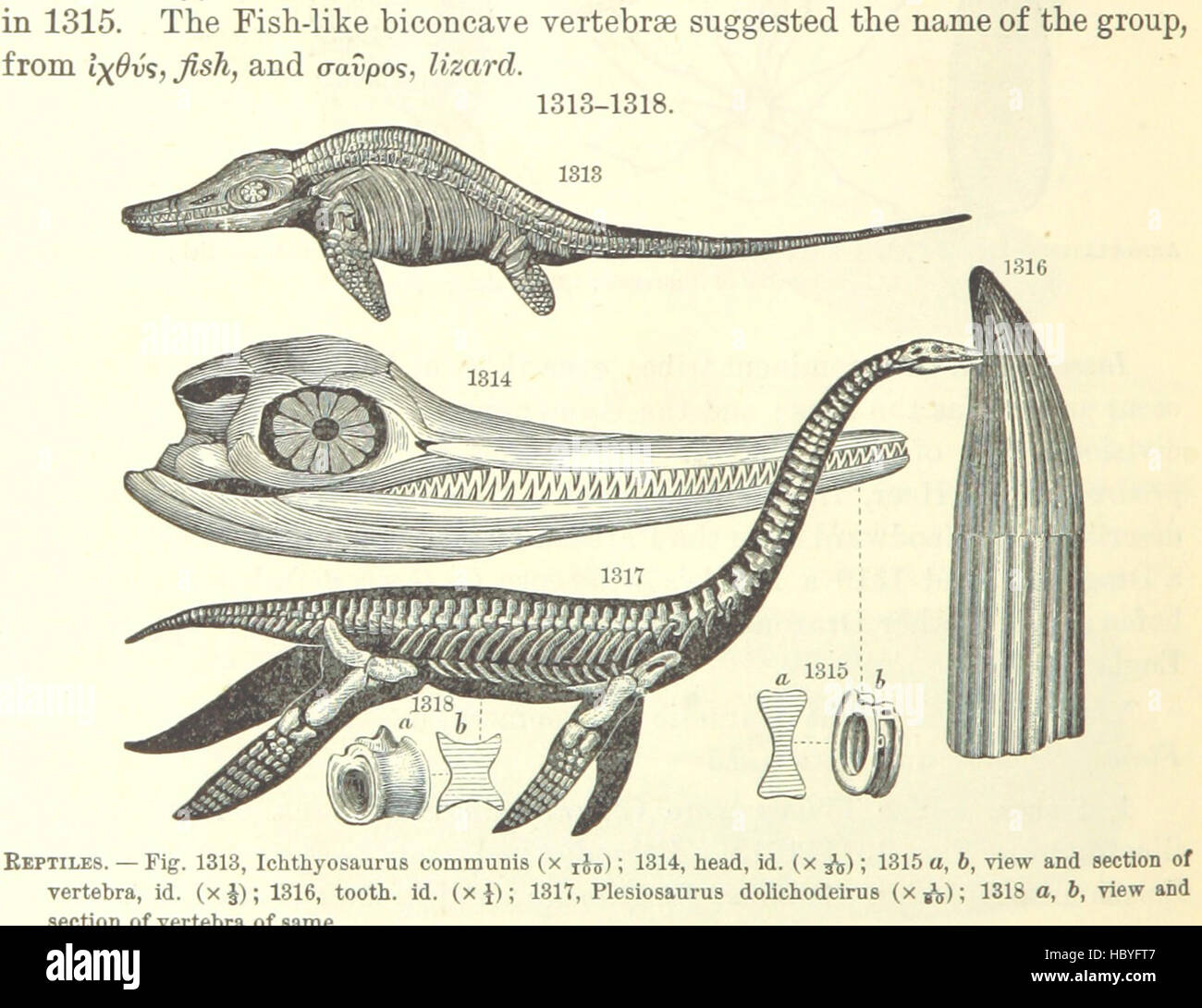 Illustrated page showing geological principles, rock formations ...