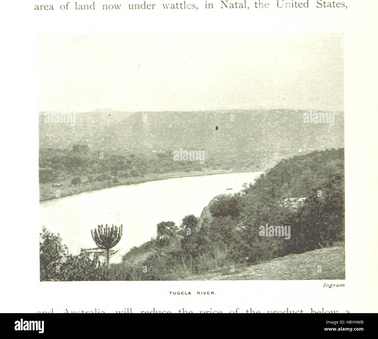 This image is from page 232 of 'The Colony of Natal,' an official ...