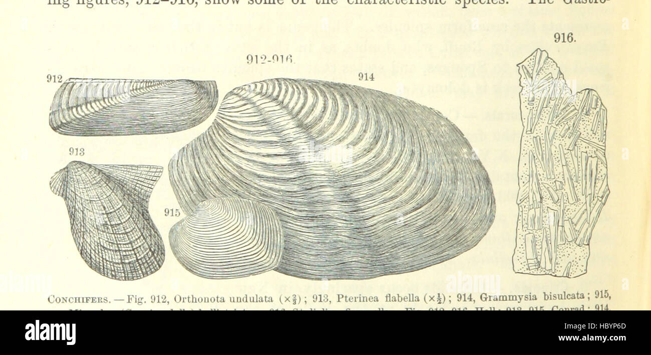 This image from page 608 depicts geological features including rock ...