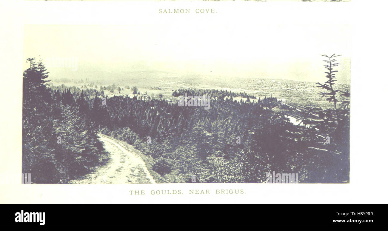Page 175 of 'A History of Newfoundland' provides an account of the ...