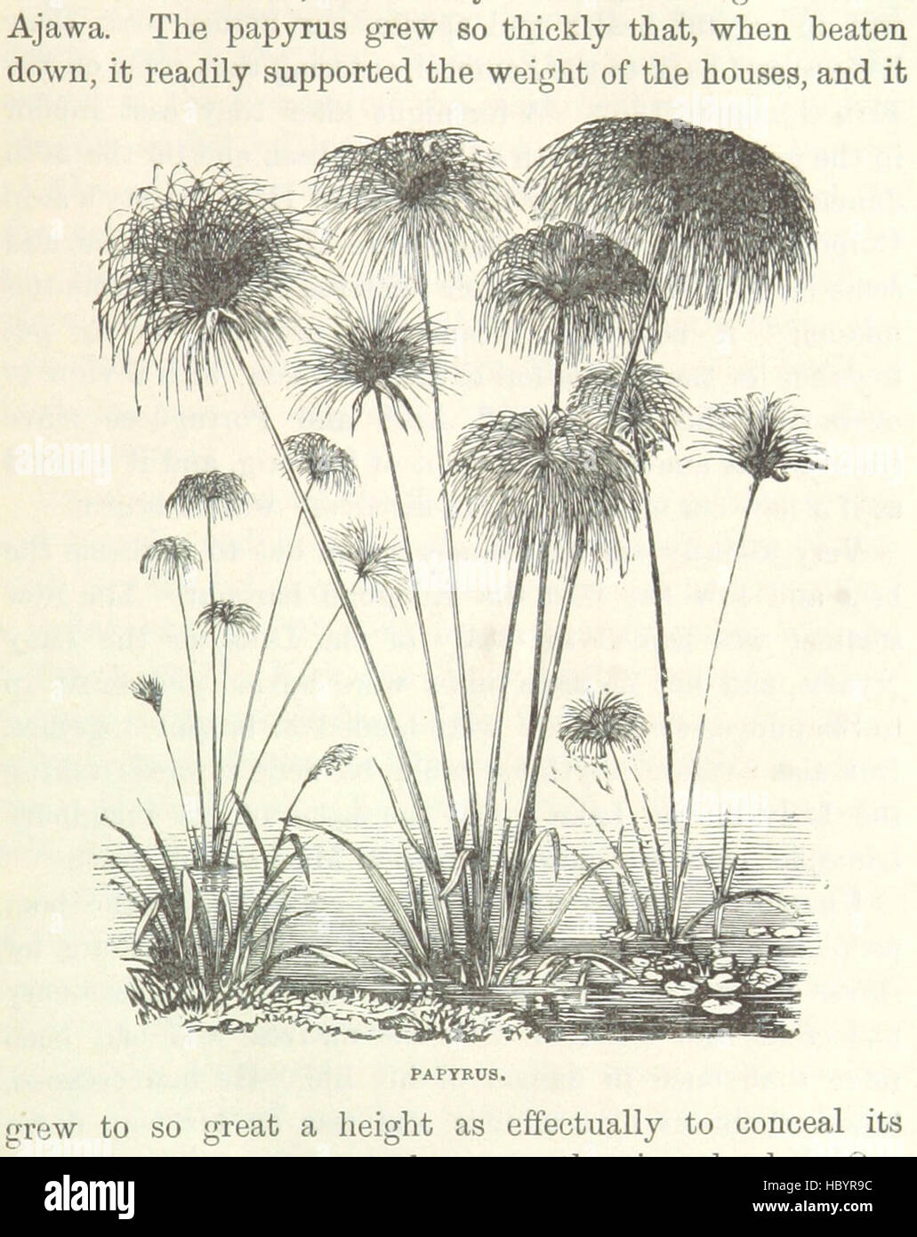 Page 271 from 'Heroes of South African Discovery' offers a detailed ...