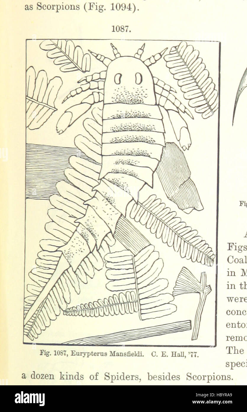 James persian calligraphy hi-res stock photography and images - Alamy