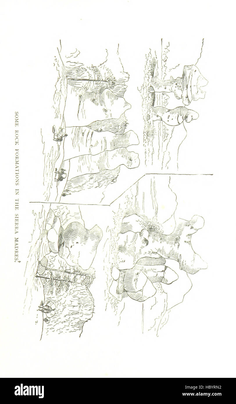 Cave flora Cut Out Stock Images & Pictures - Alamy