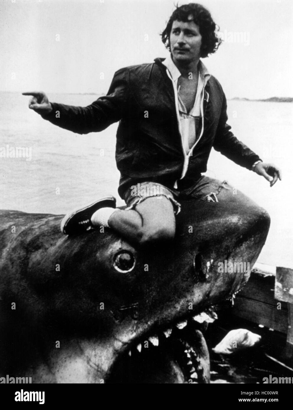 JAWS, Steven Spielberg, 1975 Stock Photo - Alamy