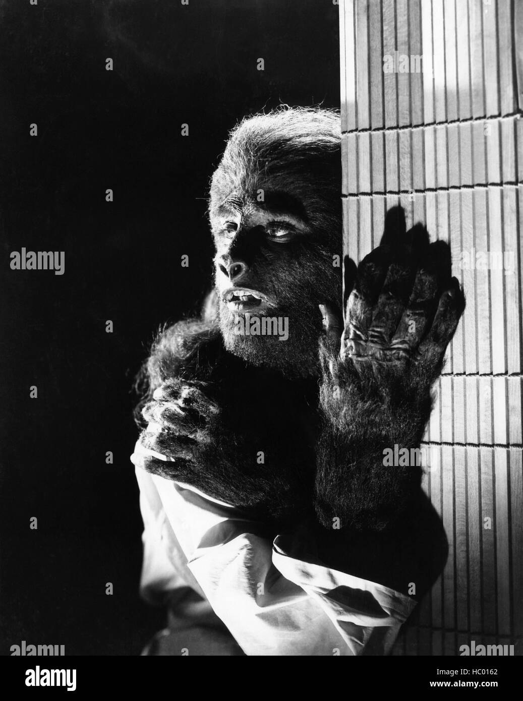 JUNGLE CAPTIVE, Vicky Lane, 1945 Stock Photo - Alamy