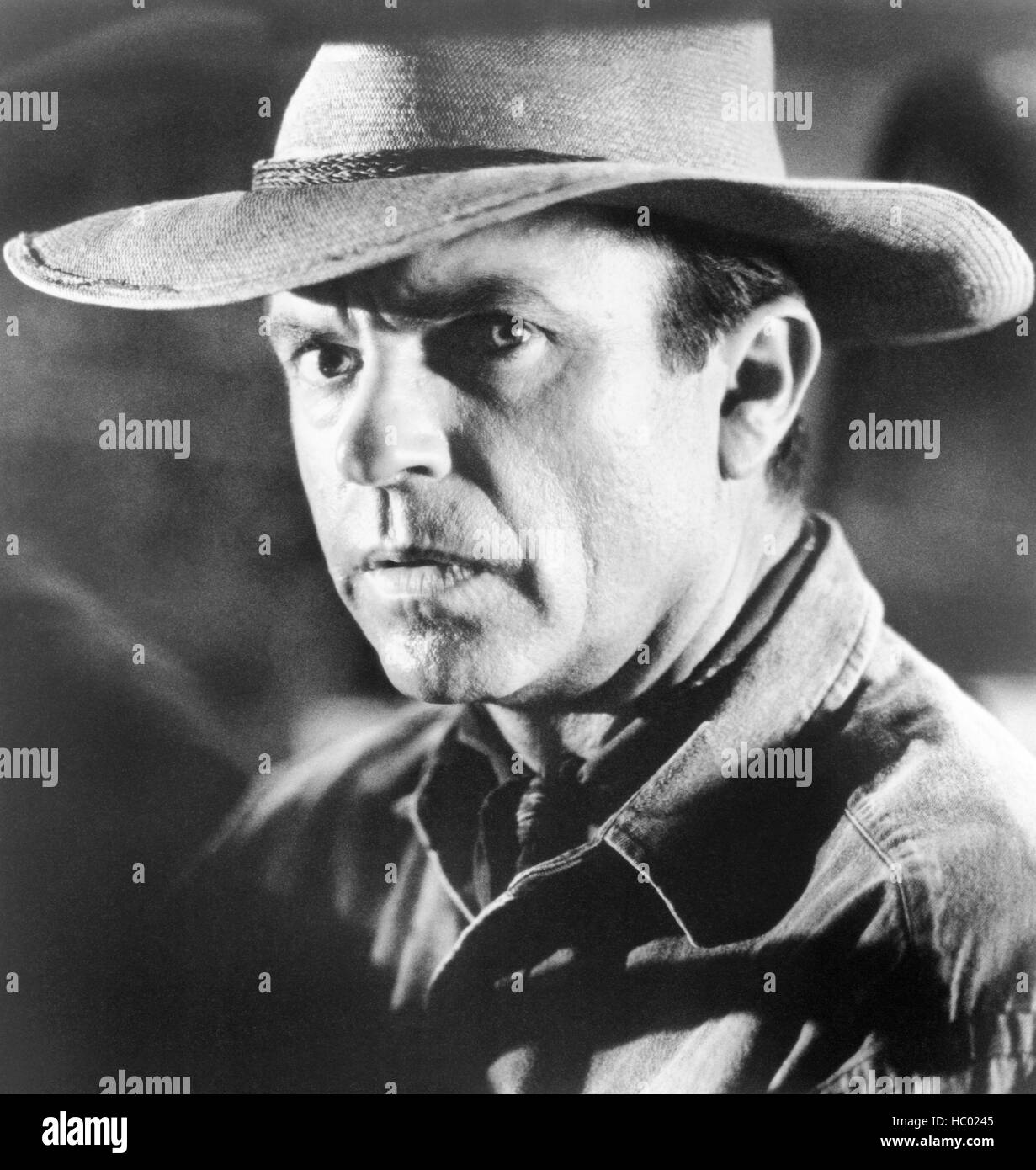 JURASSIC PARK, Sam Neill, 1993. ©Universal/courtesy Everett Collection ...
