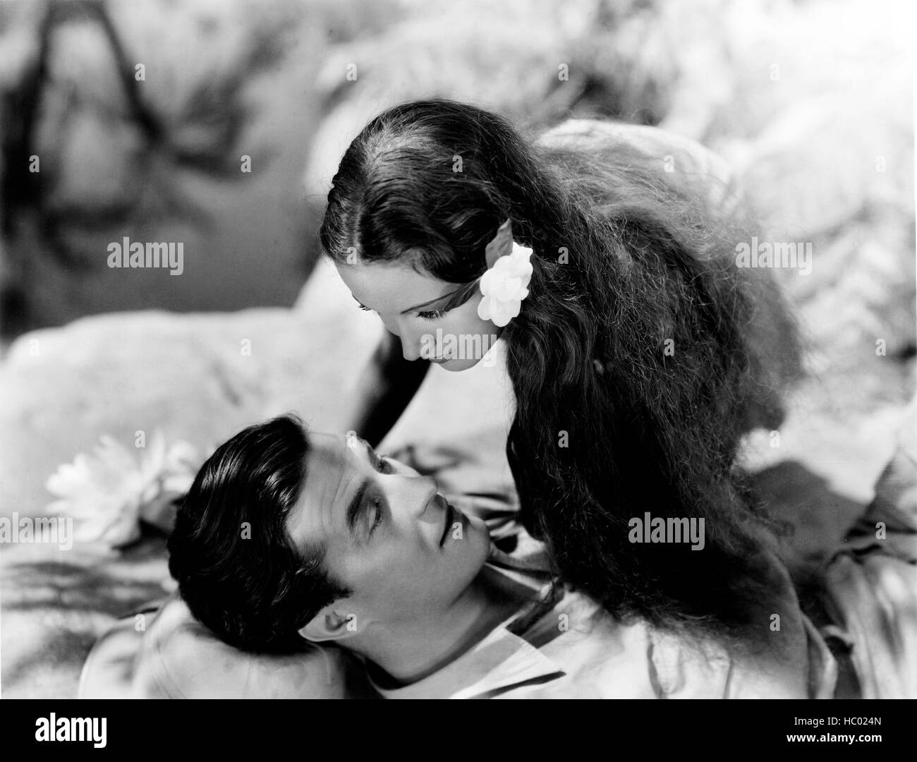THE JUNGLE PRINCESS, from top, Dorothy Lamour, Ray Milland, 1936 Stock ...