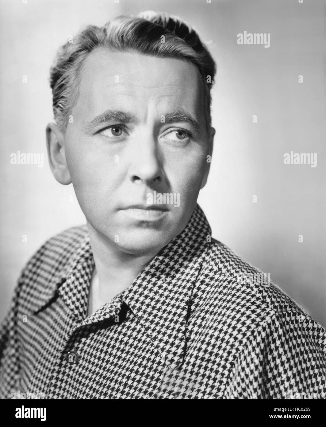 THE JUDGE STEPS OUT, Alexander Knox, 1949 Stock Photo - Alamy