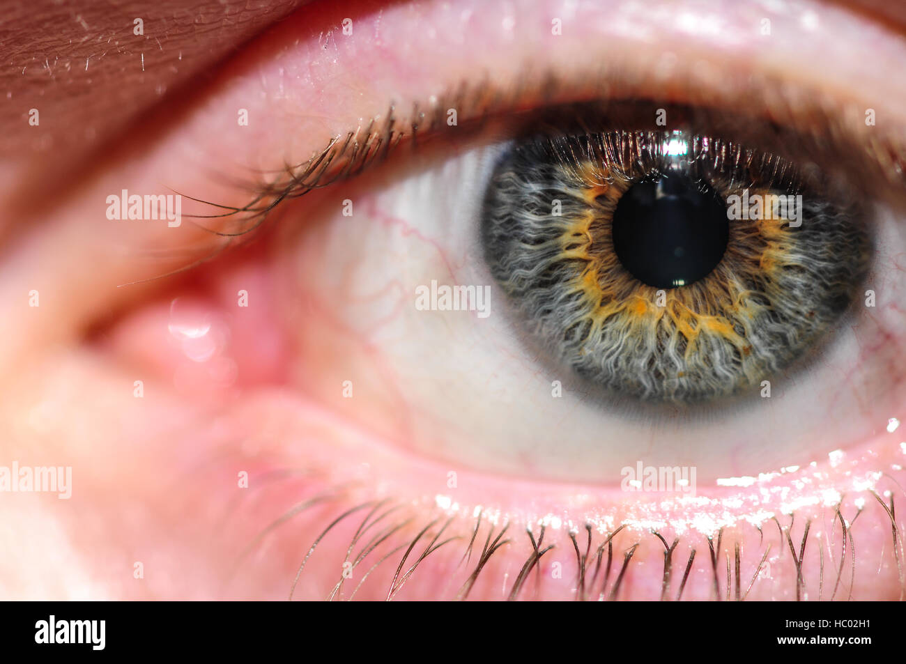Human eye close up Stock Photo - Alamy