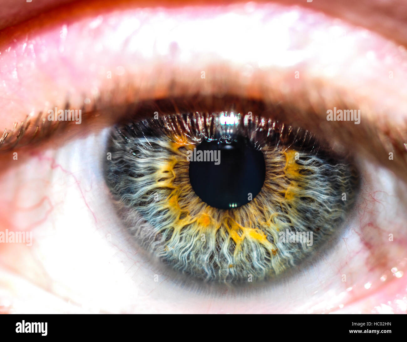 Human eye close up Stock Photo - Alamy