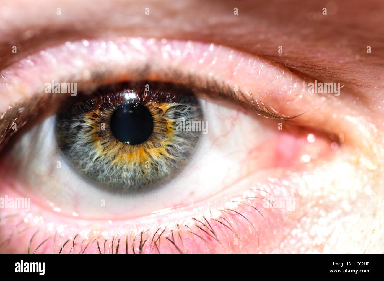 Human eye close up Stock Photo - Alamy