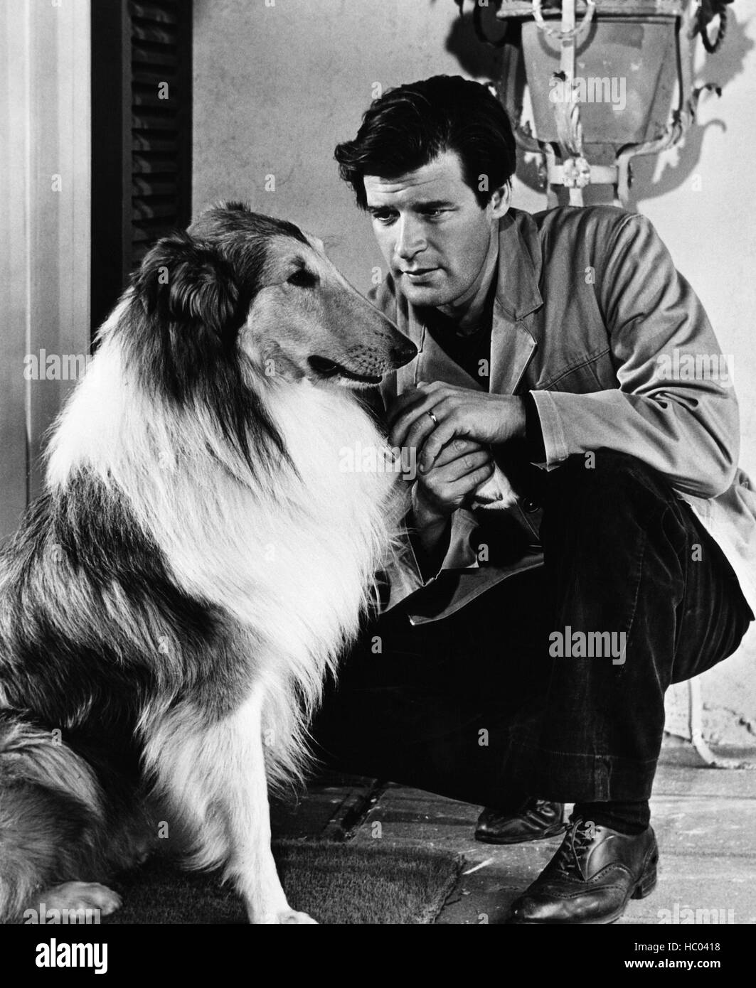 LAD: A DOG, Peter Breck, 1962 Stock Photo - Alamy