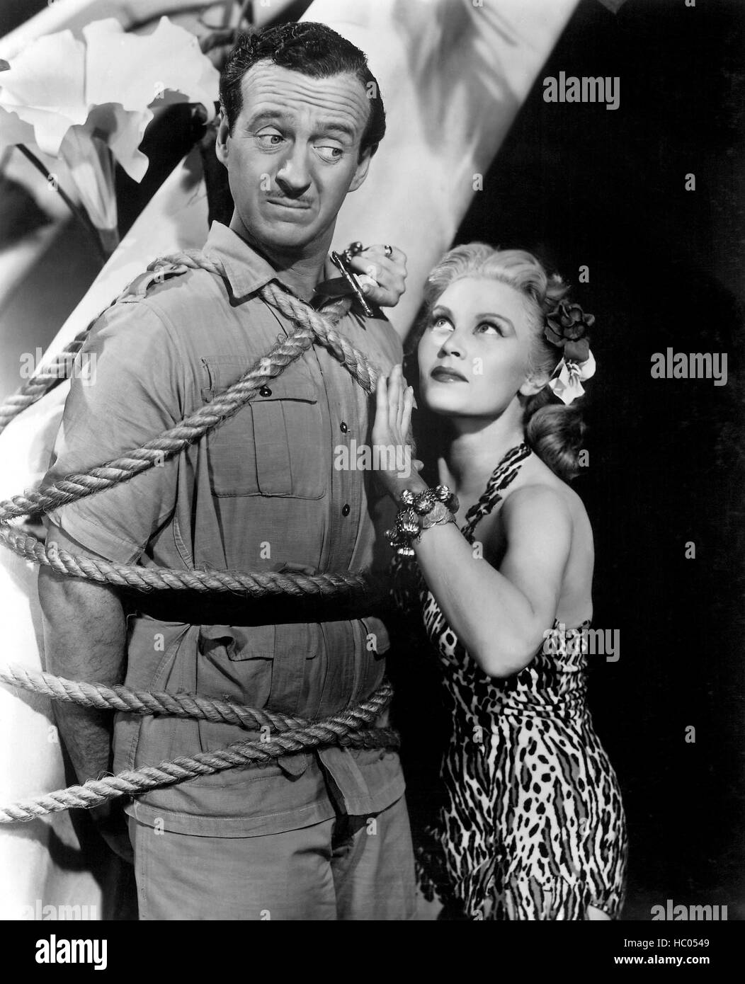 THE LADY SAYS NO, David Niven, Joan Caulfield, 1951 Stock Photo - Alamy