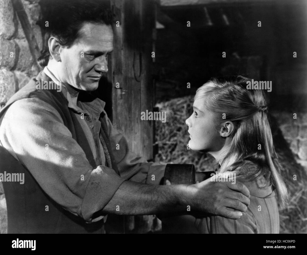 THE LIGHT IN THE FOREST, Wendell Corey, Carol Lynley, 1958 Stock Photo ...