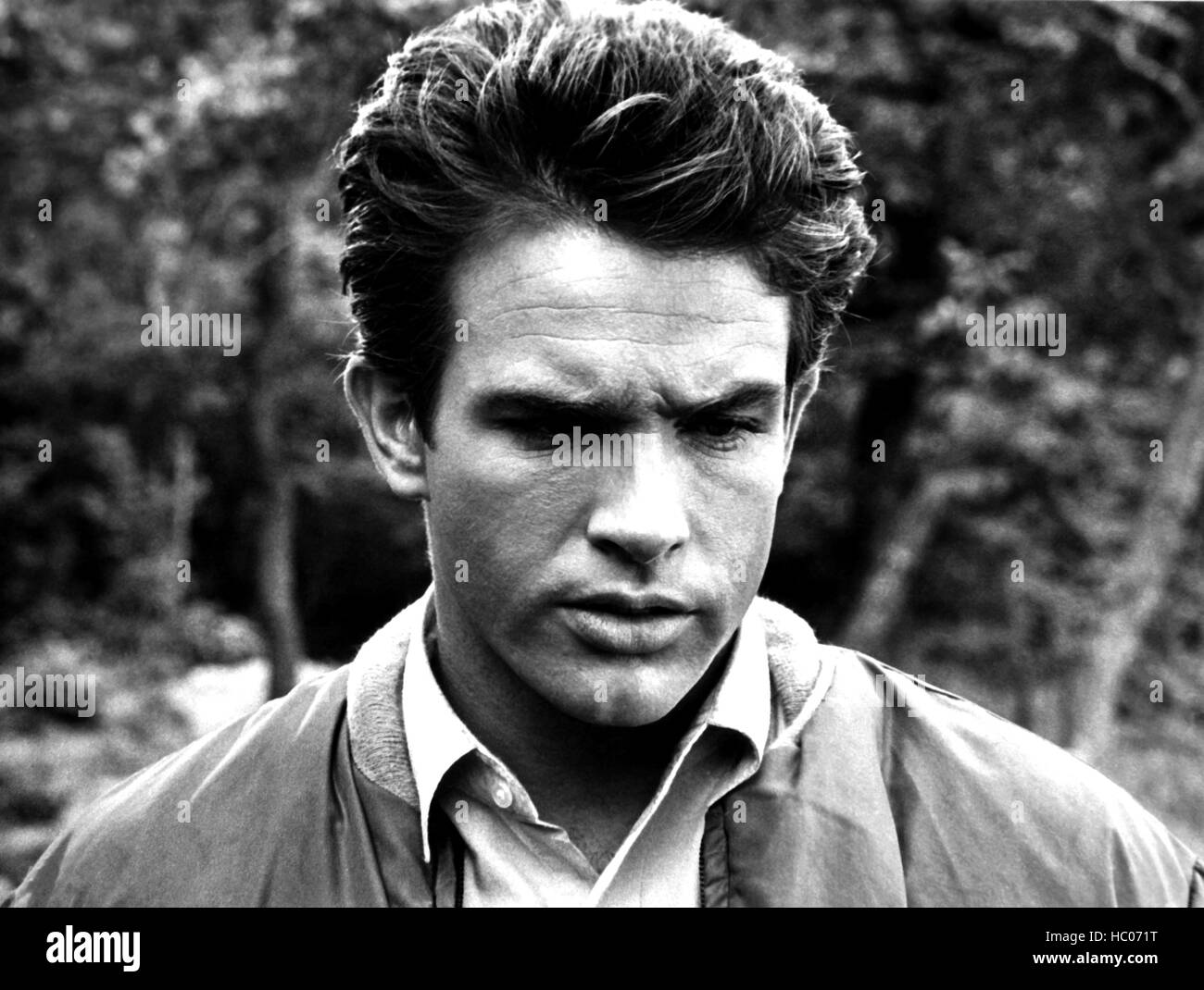 LILITH, Warren Beatty, 1964 Stock Photo - Alamy
