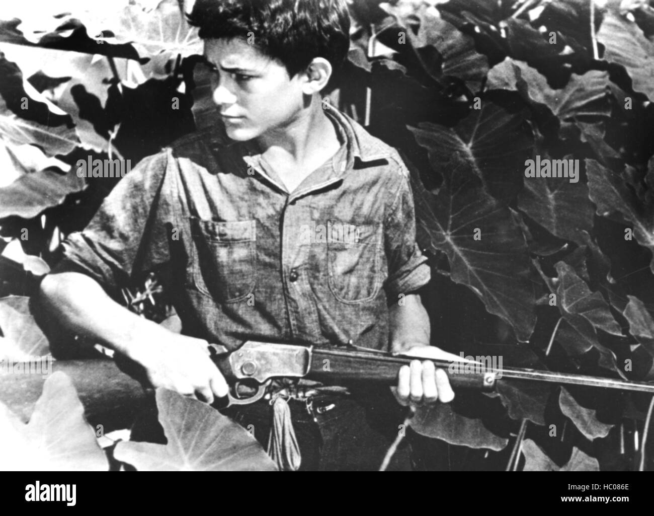 LOUISIANA STORY, Joseph Boudreaux, 1948 Stock Photo - Alamy
