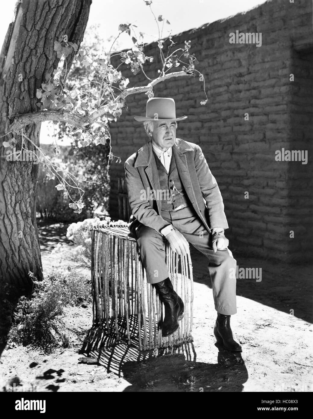 THE MAN FROM LARAMIE, Donald Crisp, 1955 Stock Photo - Alamy