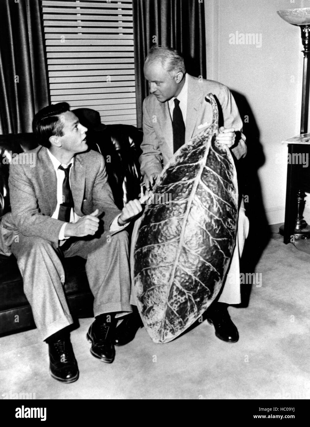 INVASION OF THE BODY SNATCHERS, Kevin McCarthy, Larry Gates, 1956 Stock ...