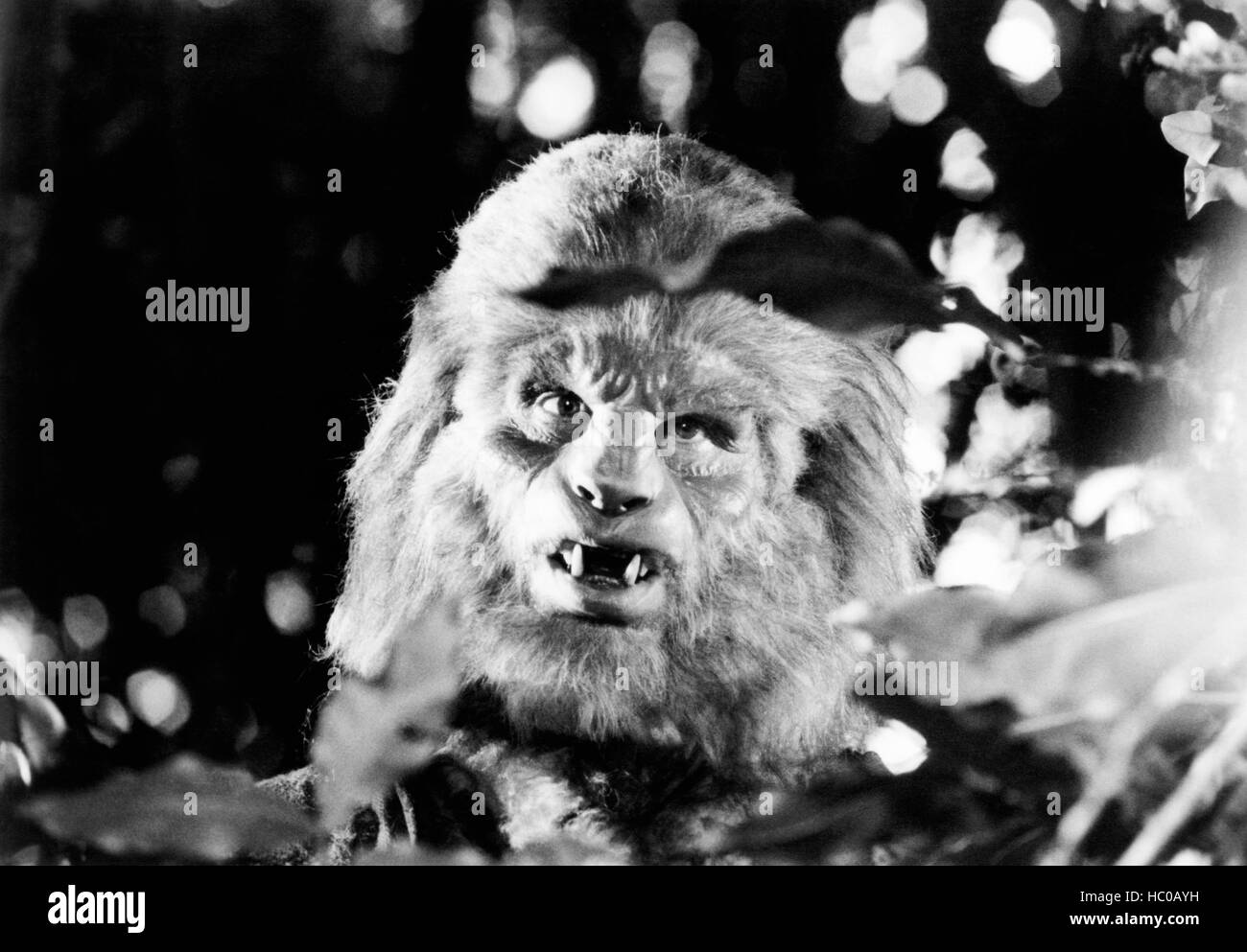 THE ISLAND OF DR. MOREAU, Gary Baxley, 1977 Stock Photo - Alamy