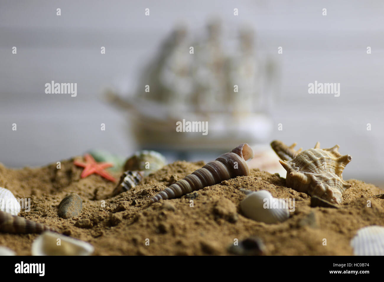 sand shell and sail in sea Stock Photo - Alamy