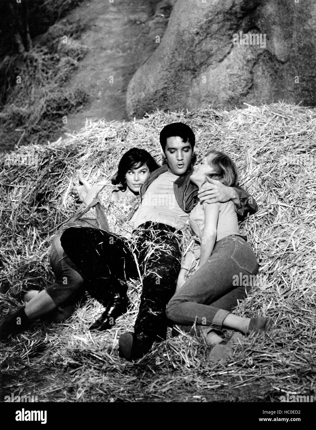 KISSIN' COUSINS, Yvonne Craig, Elvis Presley, Pamela Austin, 1964 Stock ...