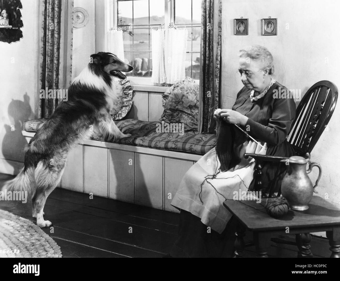 LASSIE COME HOME, Dame May Whitty, 1943 Stock Photo - Alamy