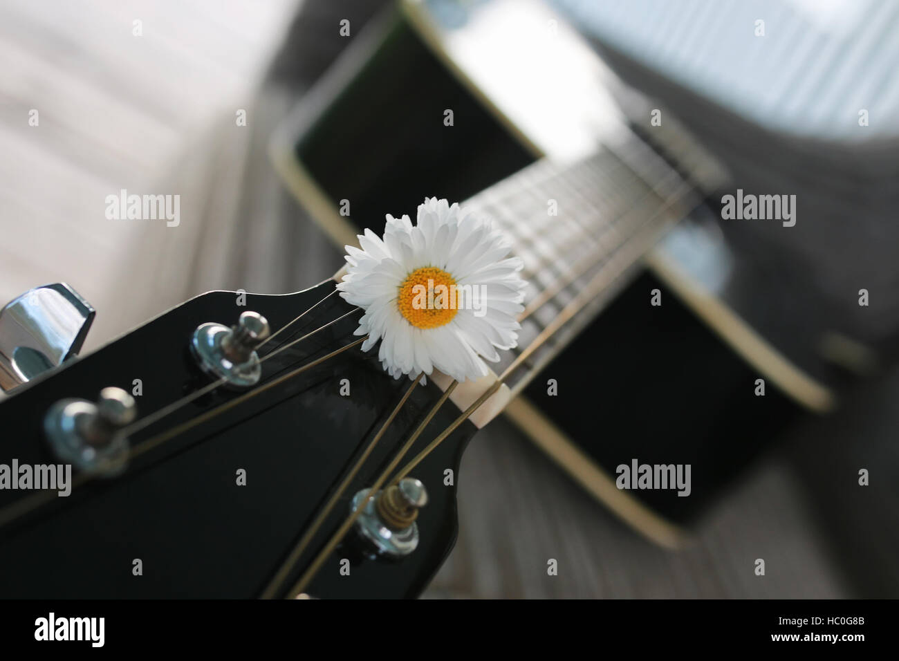 guitar string daisy Stock Photo - Alamy