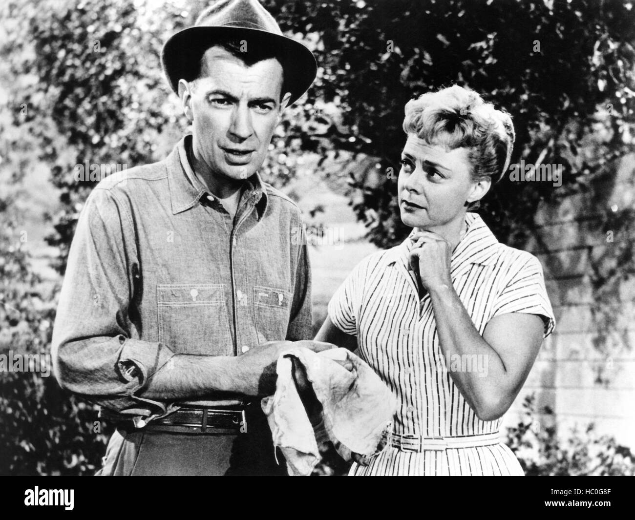 LASSIE'S GREAT ADVENTURE, from left: Hugh Reilly, June Lockhart, 1963 ...