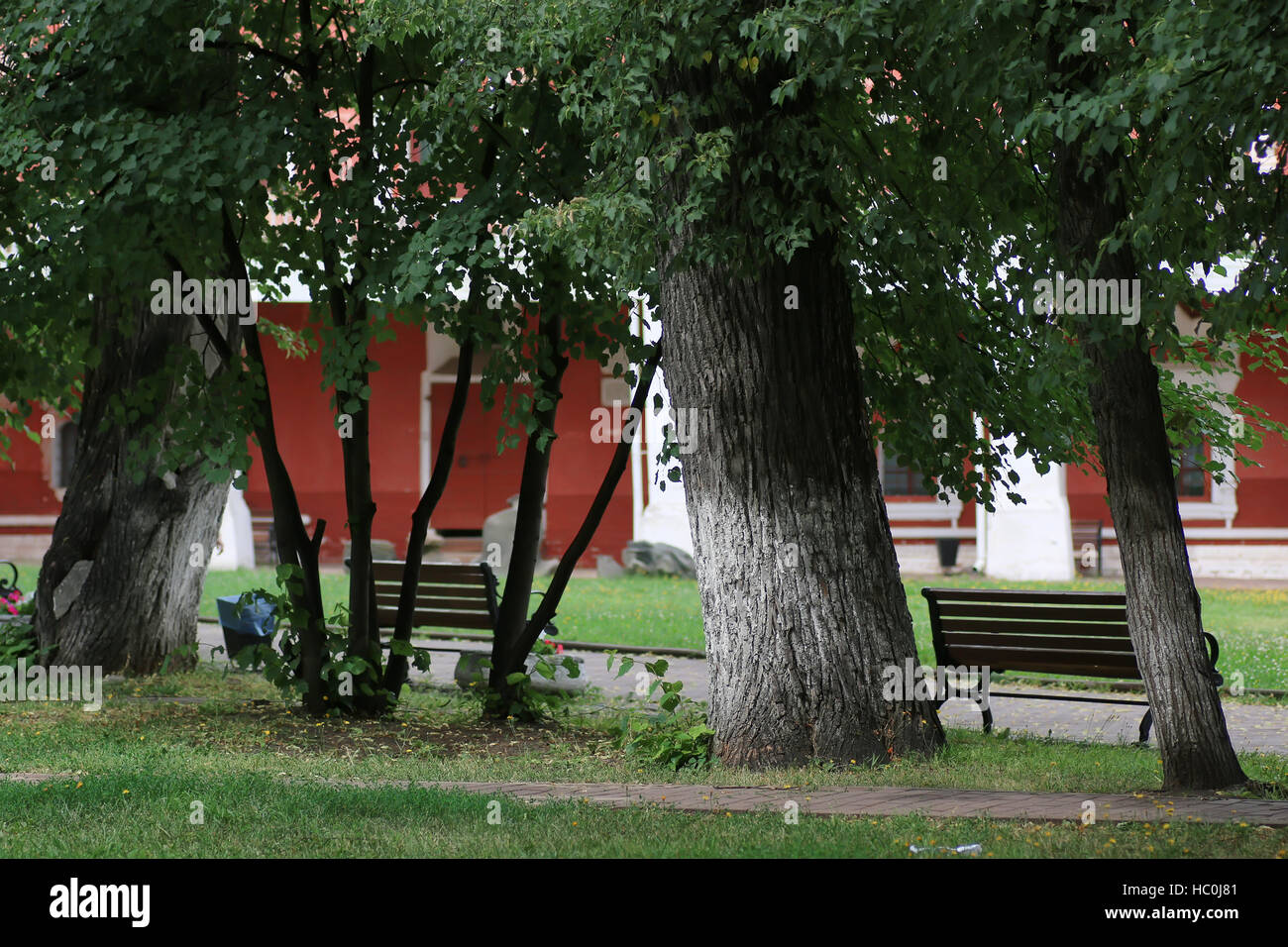 park bench tree Stock Photo - Alamy