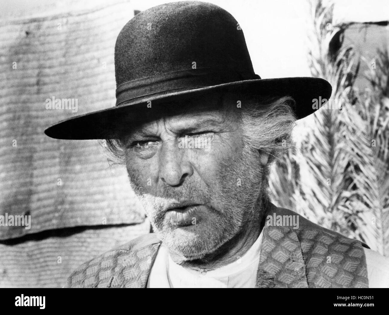 MAN AND BOY, Leif Erickson, 1972 Stock Photo - Alamy