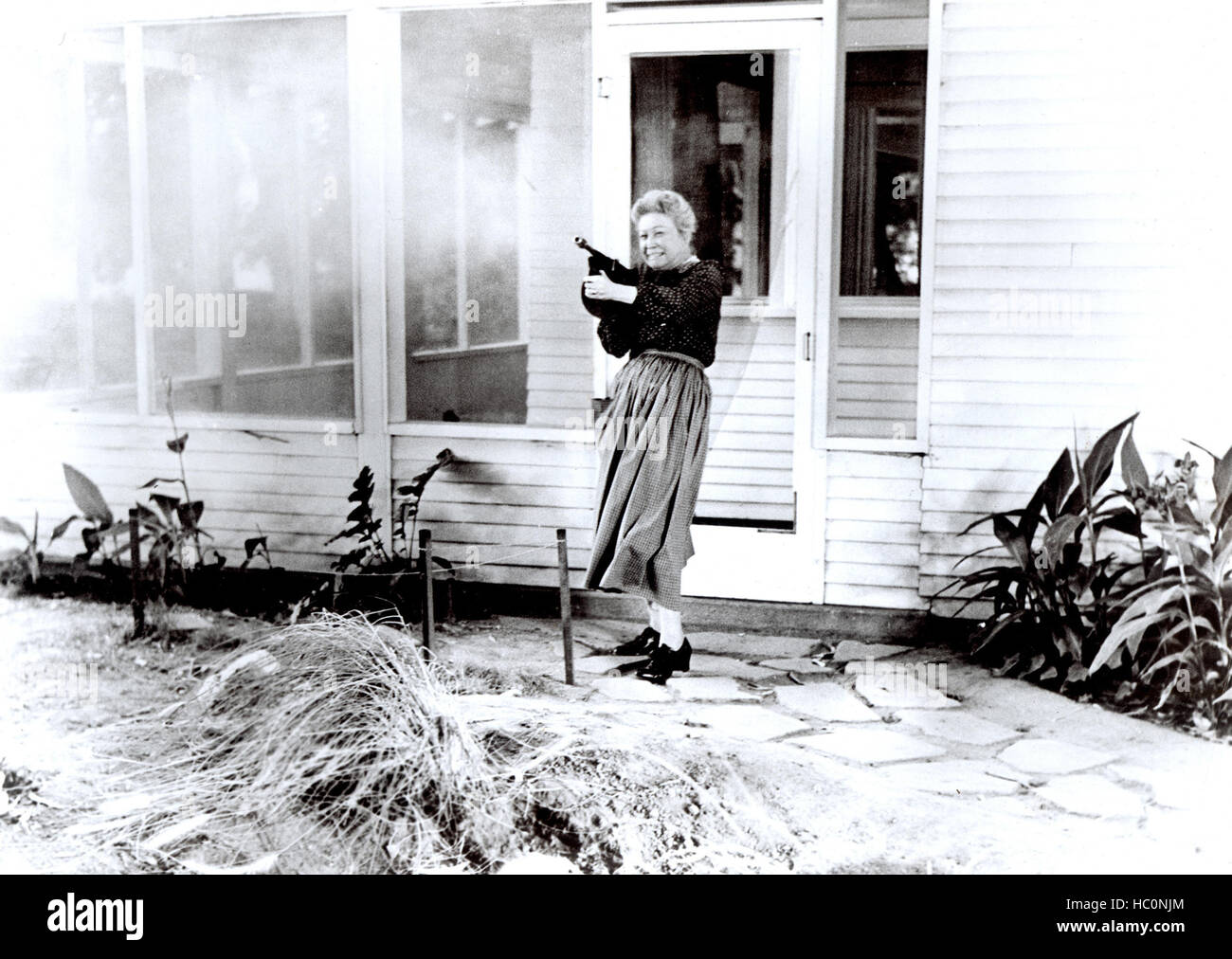MA BARKER'S KILLER BROOD, Lurene Tuttle, 1960 Stock Photo - Alamy