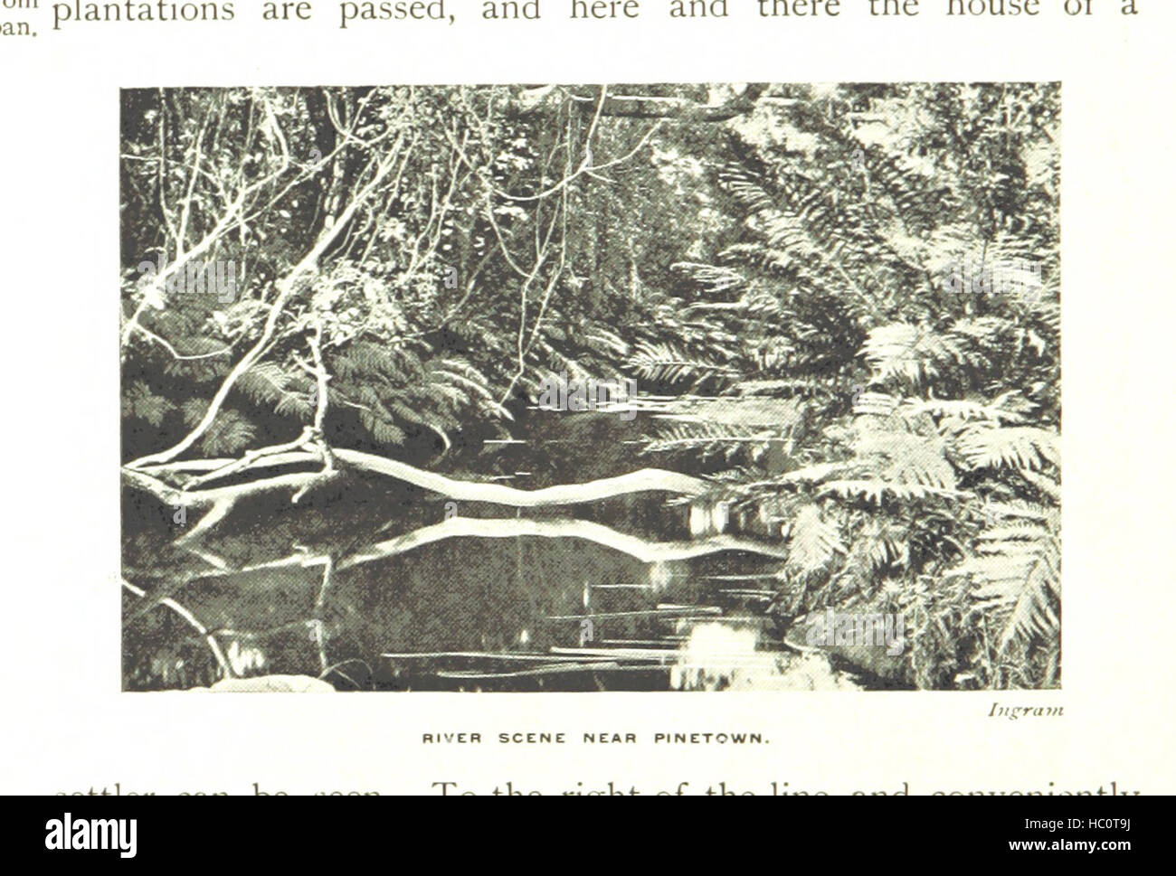 The Colony of Natal. An official illustrated handbook and railway guide ...