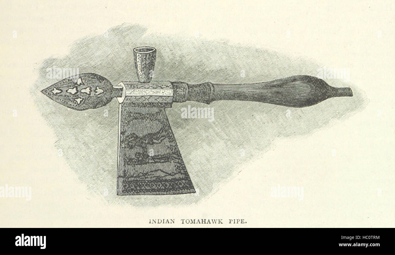 This image from page 323 of 'Illustrated Battles of the Nineteenth ...