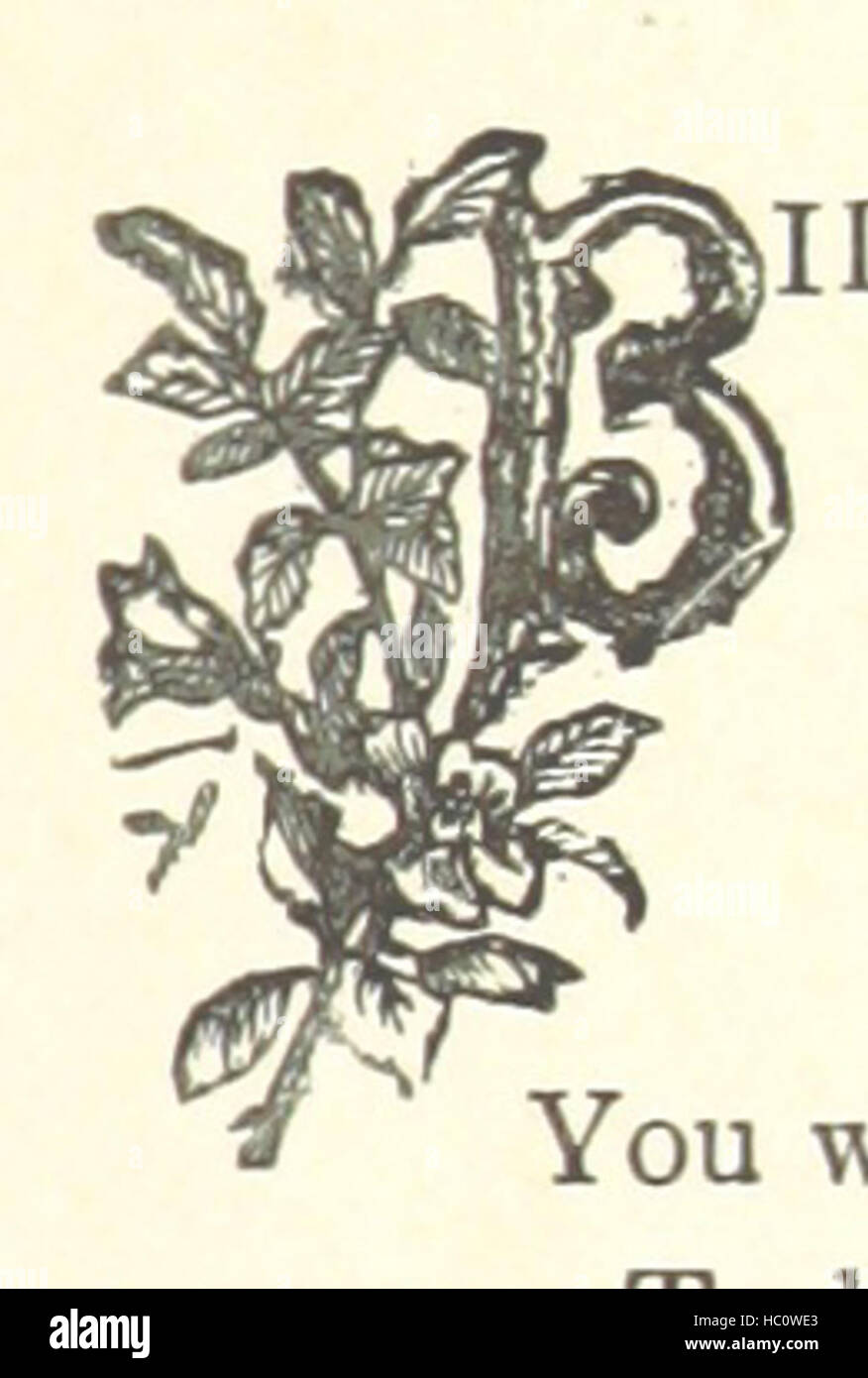 000893404 imagesfromvolume hi-res stock photography and images - Alamy