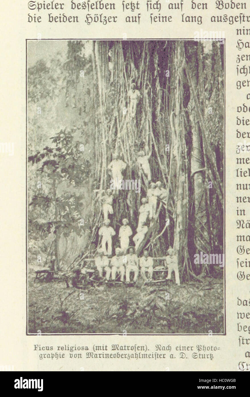 A historical account of Germany's colonies, detailing their ...