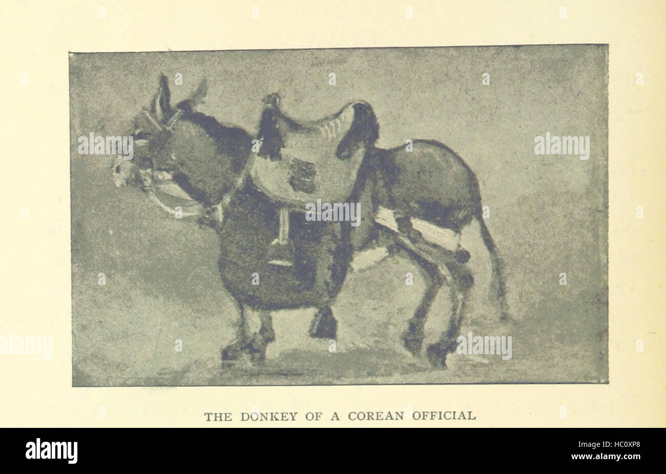 Borscht drawing hi-res stock photography and images - Alamy