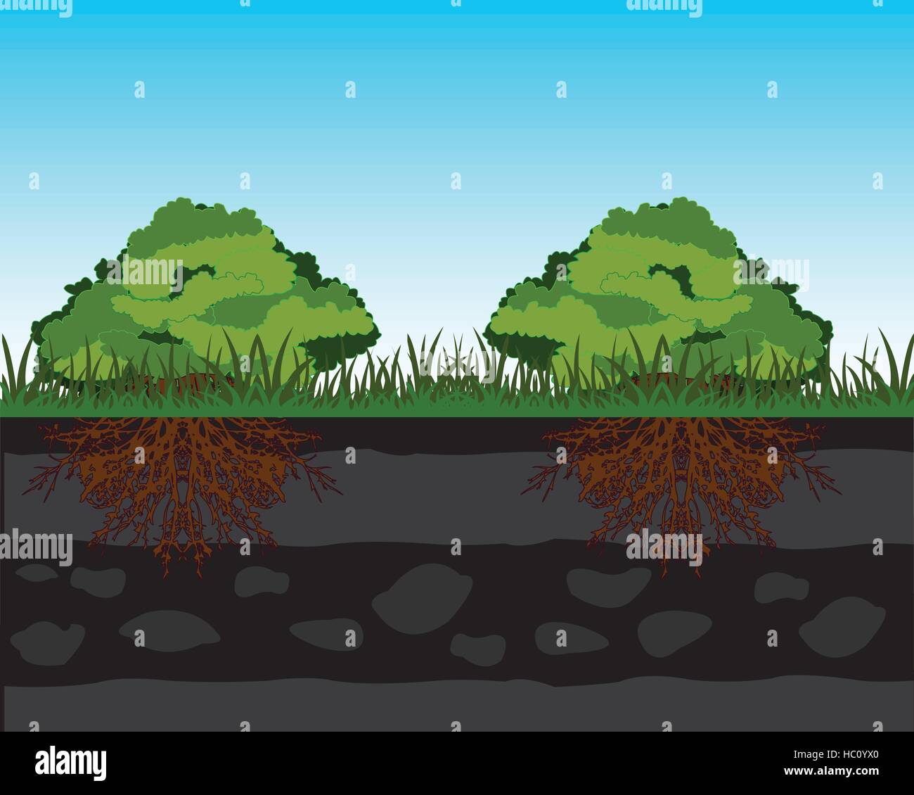 Green bush and root in ground in cut Stock Vector Image & Art - Alamy