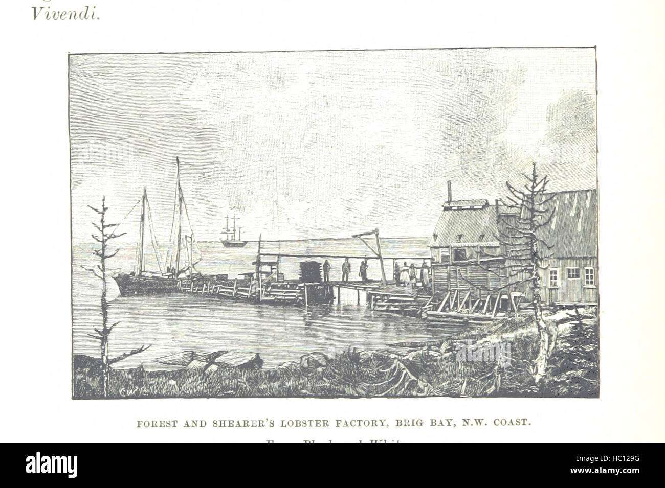 This image from 'A History of Newfoundland' highlights key moments in ...