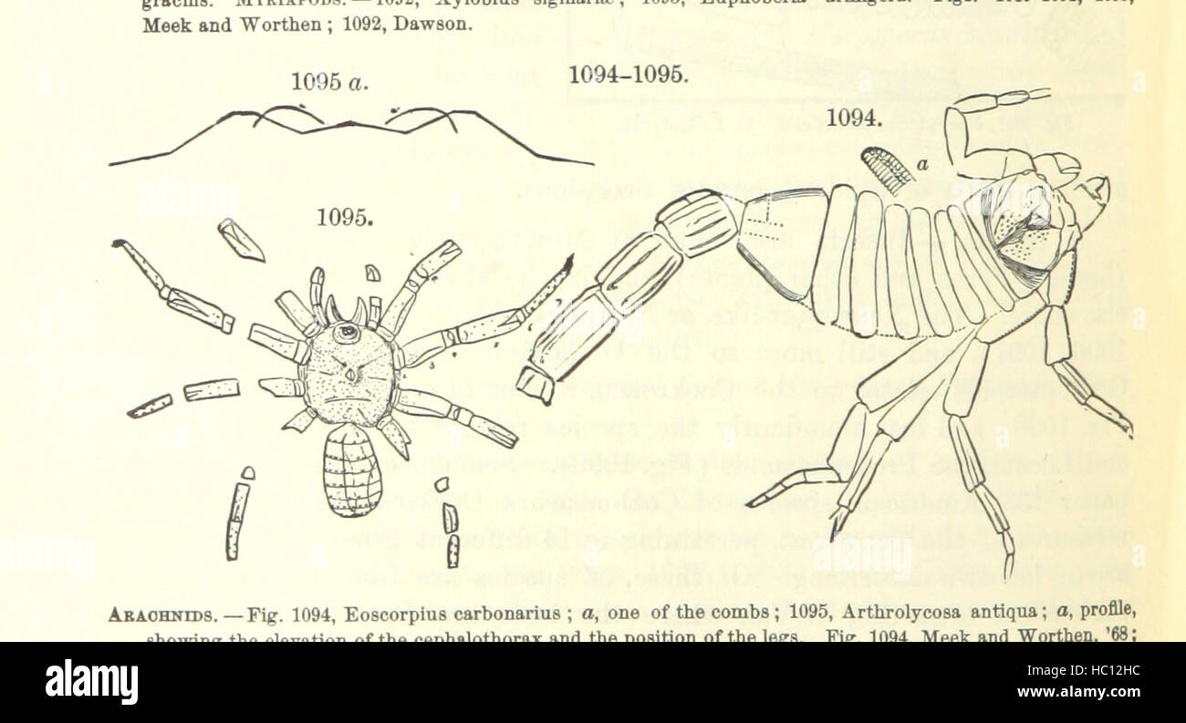 An image from 'Manual of Geology,' providing a detailed examination of ...