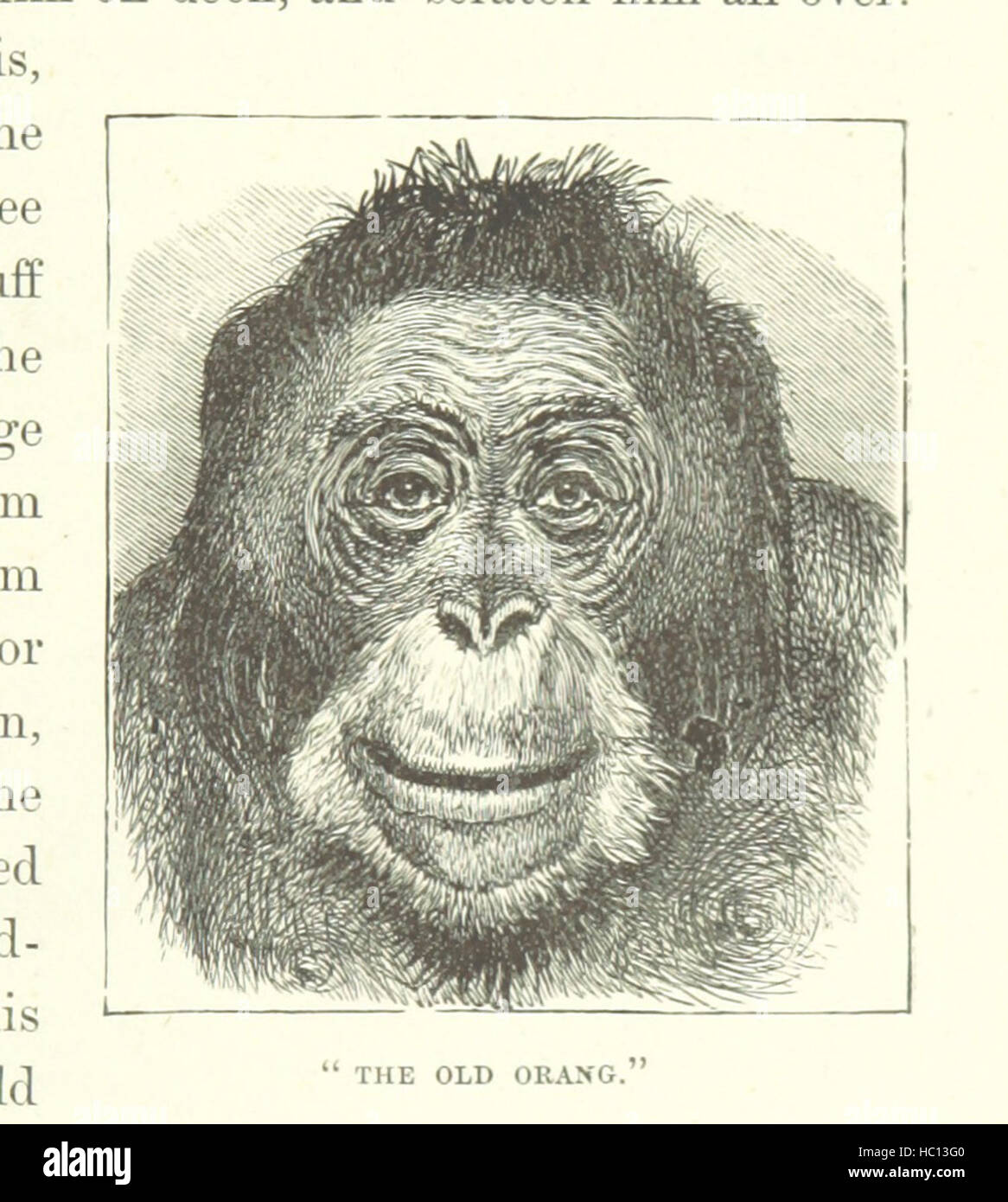 O'er Many Lands, On Many Seas Image taken from page 141 of 'O'er Many ...