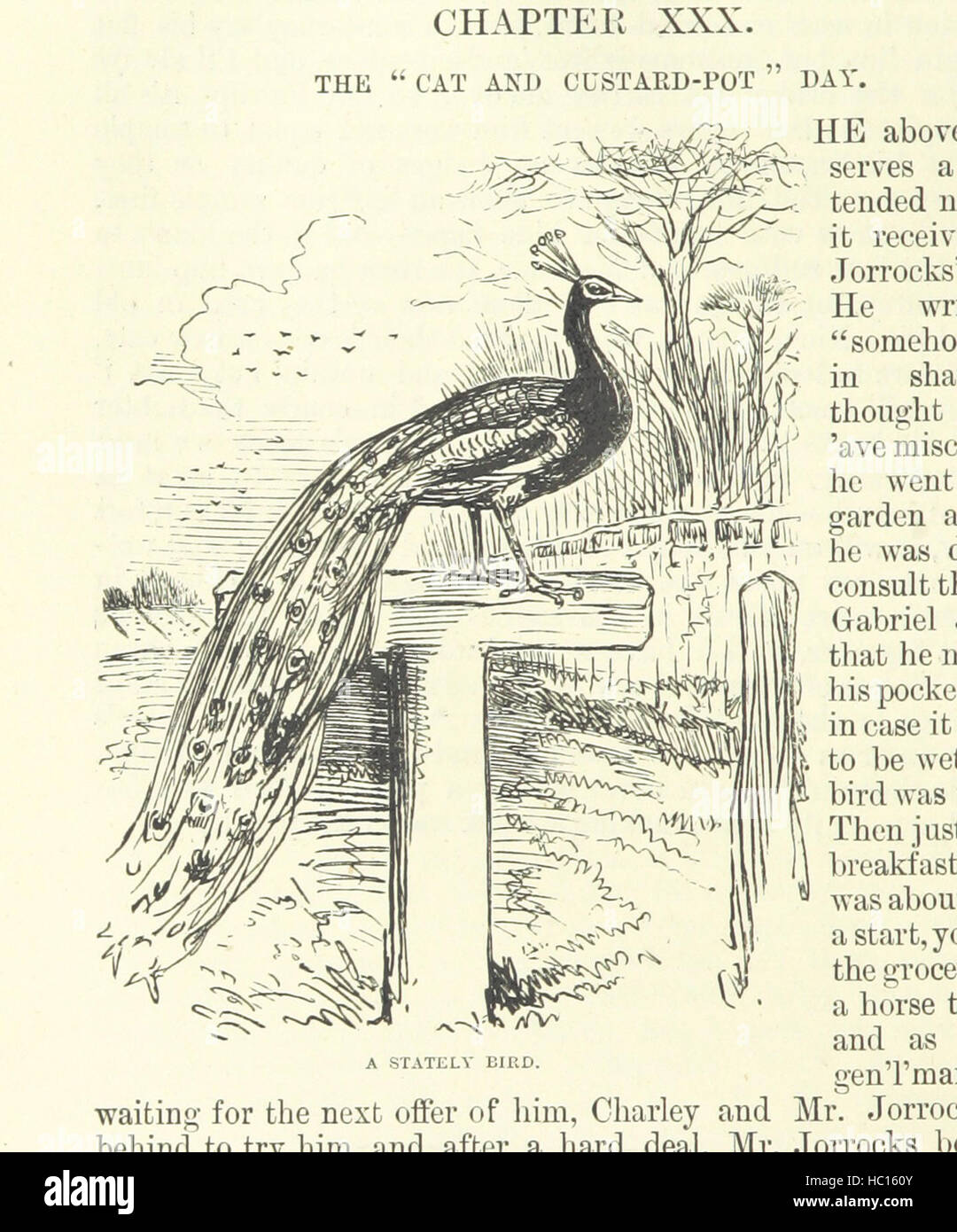 Mr handley page hi-res stock photography and images - Alamy